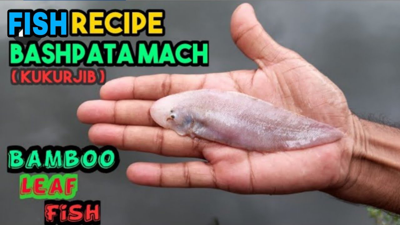 #Fish#recipe#cooking Fish Recipe|bashpatamach(kukurjib) |BambooLeaf ...