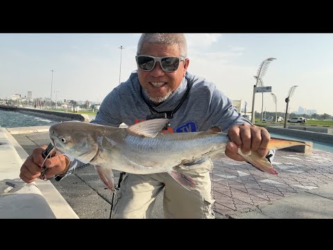 Sarap ng hatak ng isda na eto. Catch and release #catchandrelease #fish ...