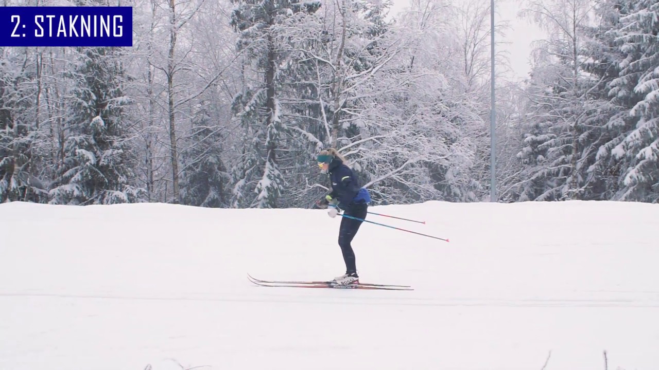 Klassisk längdskidåkning – teknikträning - YouTube