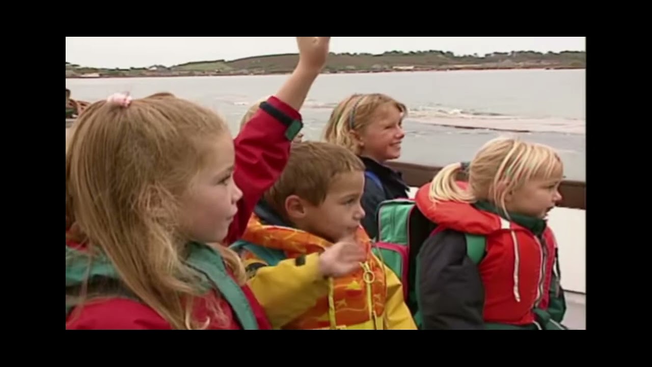 kyogre watching Teletubbies, going to school with boat - YouTube