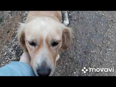 Karneler Alınsın, Gezmeler Başlasın, Boool Oksijenli Bir Video 😊 Teşvikiye Dipsiz Göl / Yalova