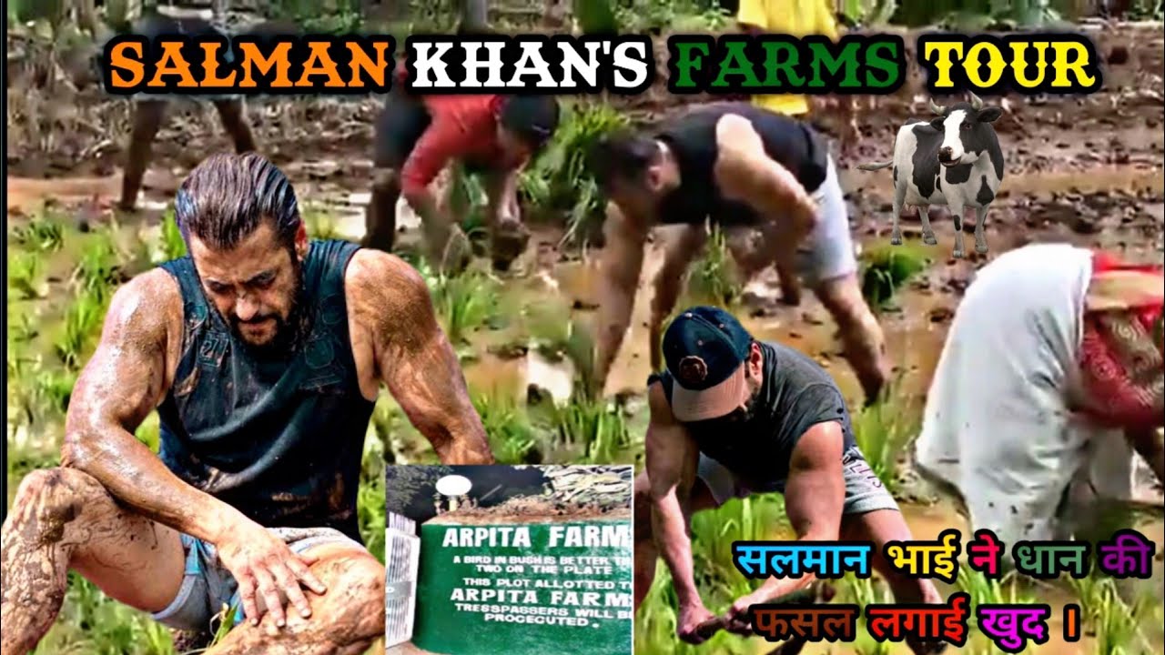 सलमान खान फार्म हाउस पर एंजॉय करते हुए| Salman Khan Farm House Tour ...