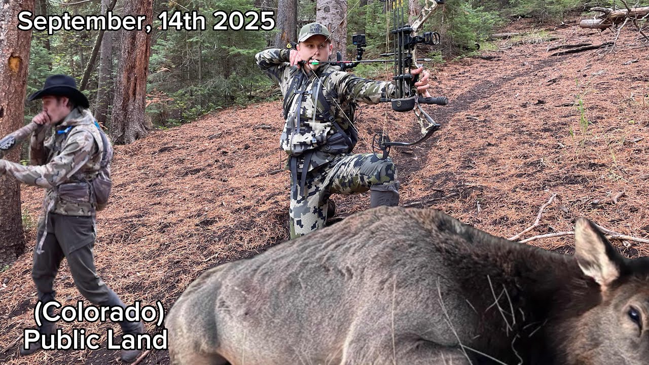 Eli’s first Elk! - (Colorado public land) - YouTube