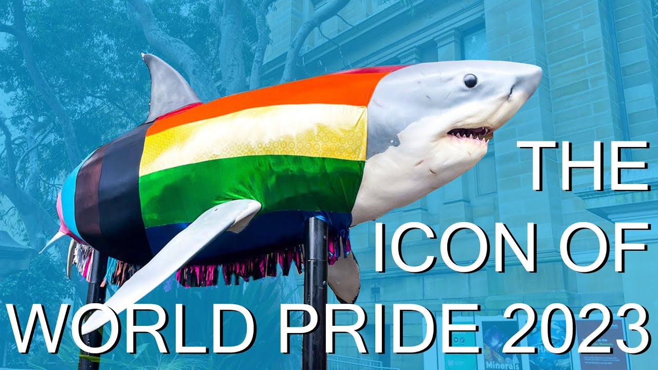 I unironically love Progress Shark. Here's why! - YouTube