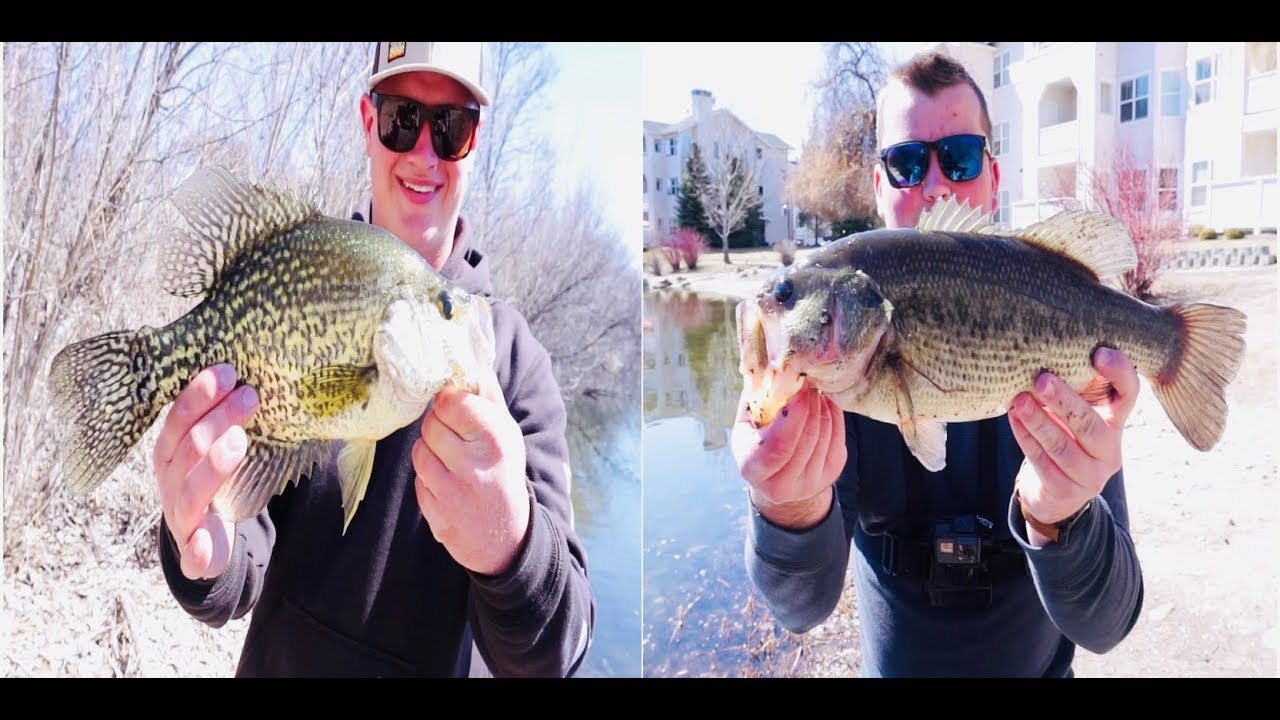 Catching GIANT FISH in Boise, Idaho!!! - YouTube