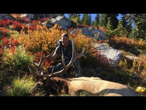 Elk Hunt 33 miles back-Stuck N the Rut 85 - YouTube