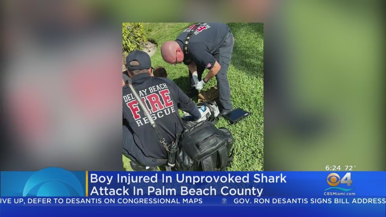 Boy Bitten By Shark In Palm Beach County - YouTube