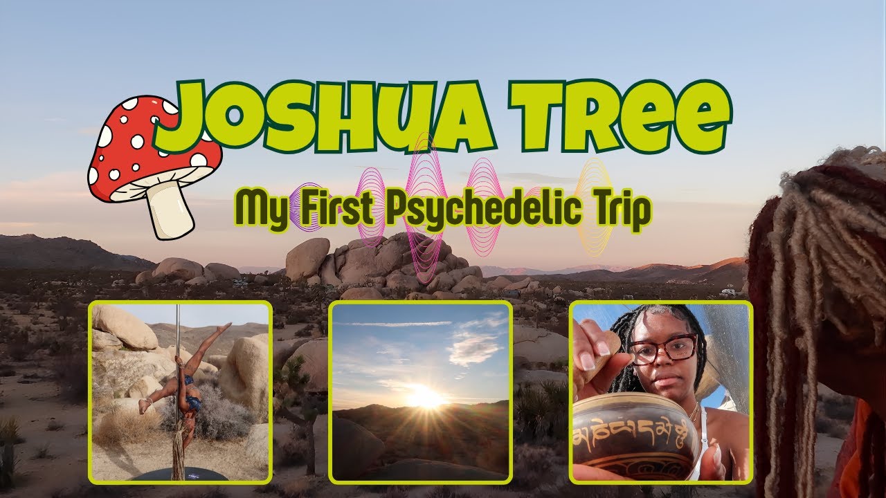 Joshua Tree: A Spiritual & Psychedelic Experience - YouTube