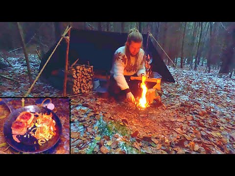 Erste Nacht alleine im Wald bei -9°C | Selbstversuch | keine Isomatte | Schlafsack im Extrembereich