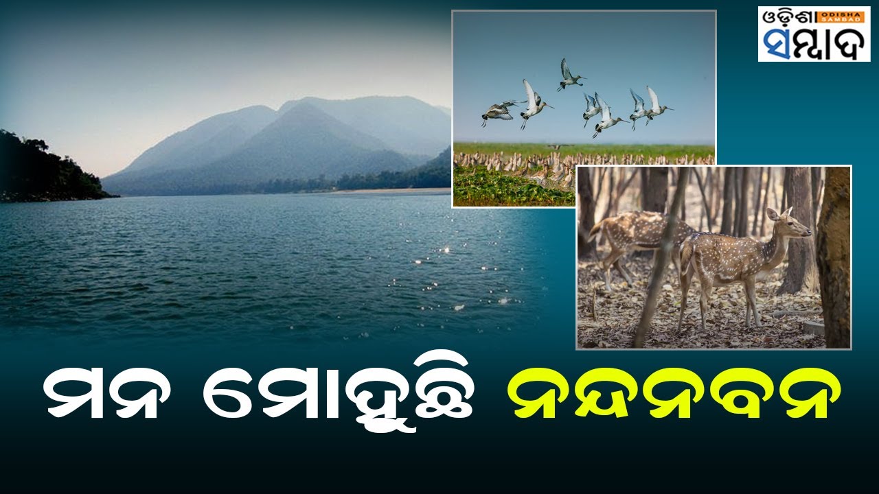 Famous Picnic Spot Nandan In Boudh District - YouTube