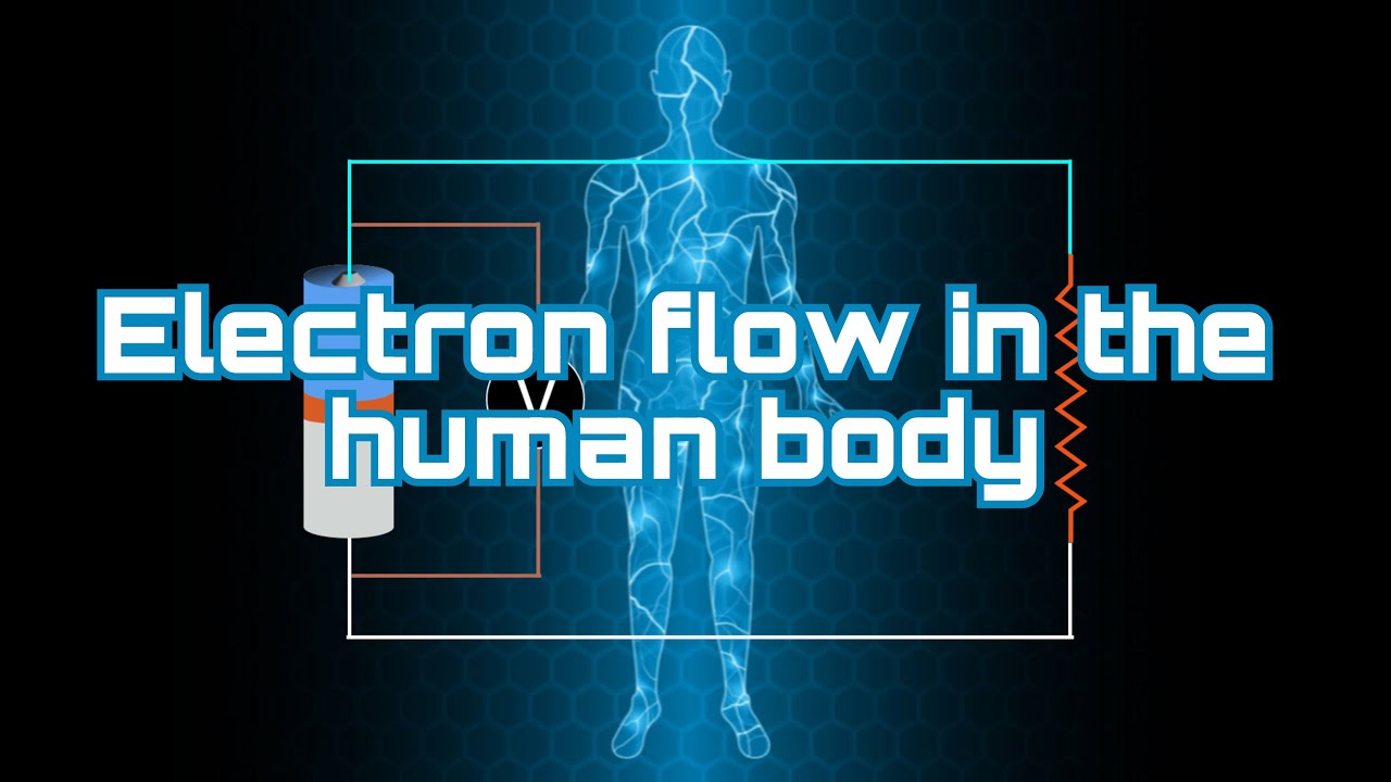 How Electrons Flow in the Human body - YouTube