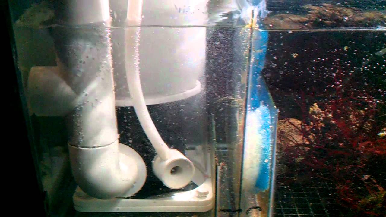 75 gallon reef sump/refugium - YouTube