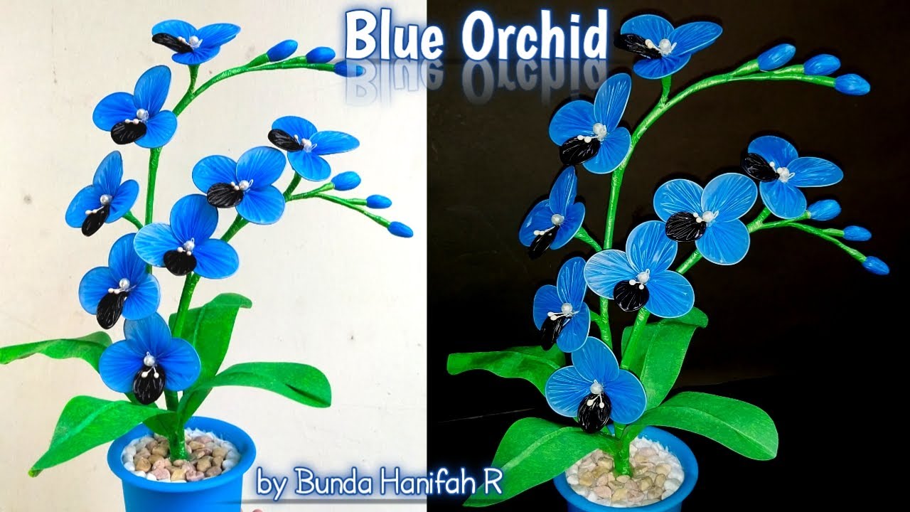 How to make blue Orchid flowers from plastic bag ll Bunga Anggrek biru ...