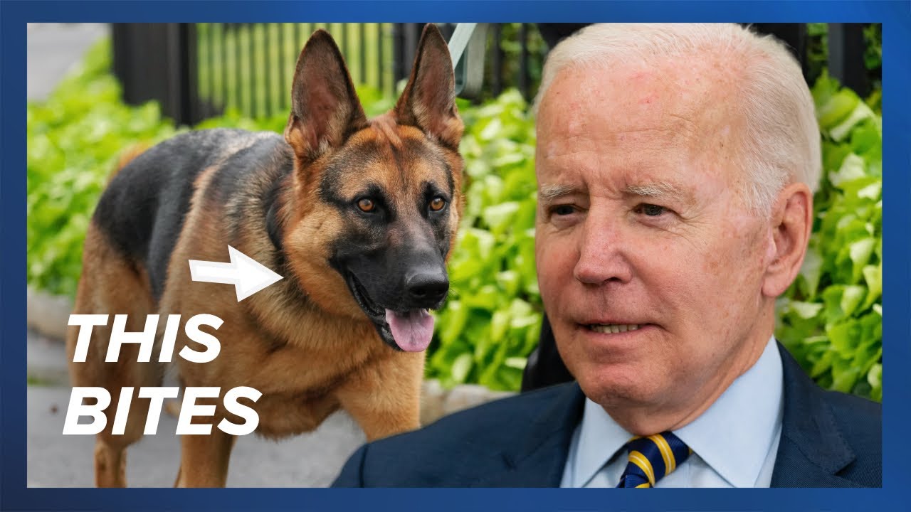 Biden s Dog Just Bit A Secret Service Agent For The 11th Time YouTube biden-s-dog-just-bit-a-secret-service-agent-for-the-11th-time-youtube