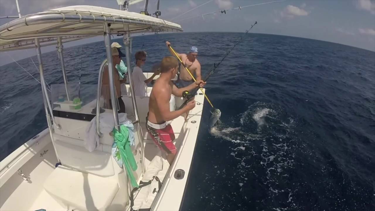 Trolling for Mahi Mahi - YouTube