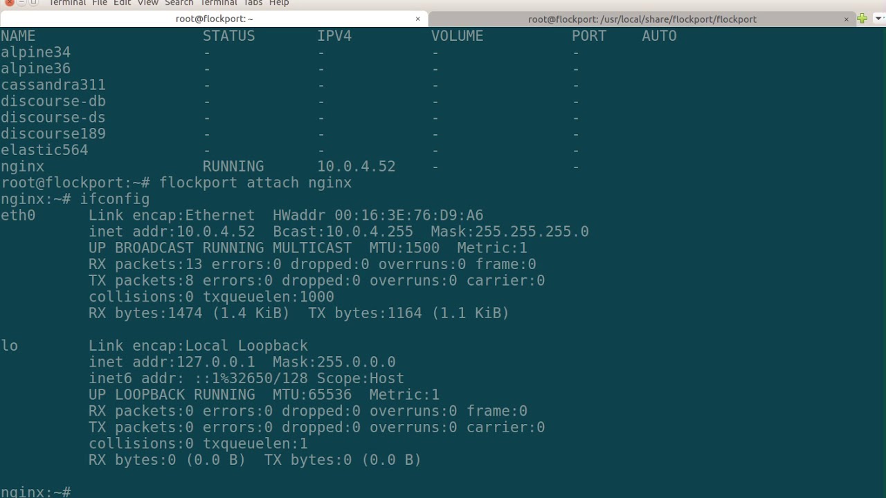 Flockport Snapshots - YouTube