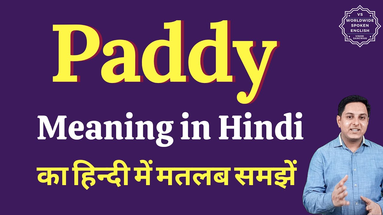 Paddy Meaning In Hindi Paddy Ka Kya Matlab Hota Hai Spoken English paddy-meaning-in-hindi-paddy-ka-kya-matlab-hota-hai-spoken-english