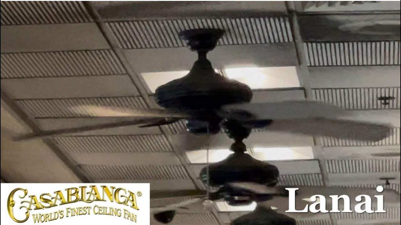 53” Casablanca Lanai ceiling fans - YouTube