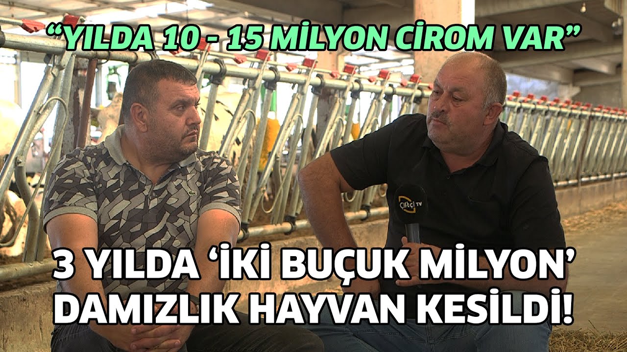 "Yılda 10 - 15 Milyon Cirom Var" / 3 Yılda ‘İKİ BUÇUK MİLYON’ Damızlık ...