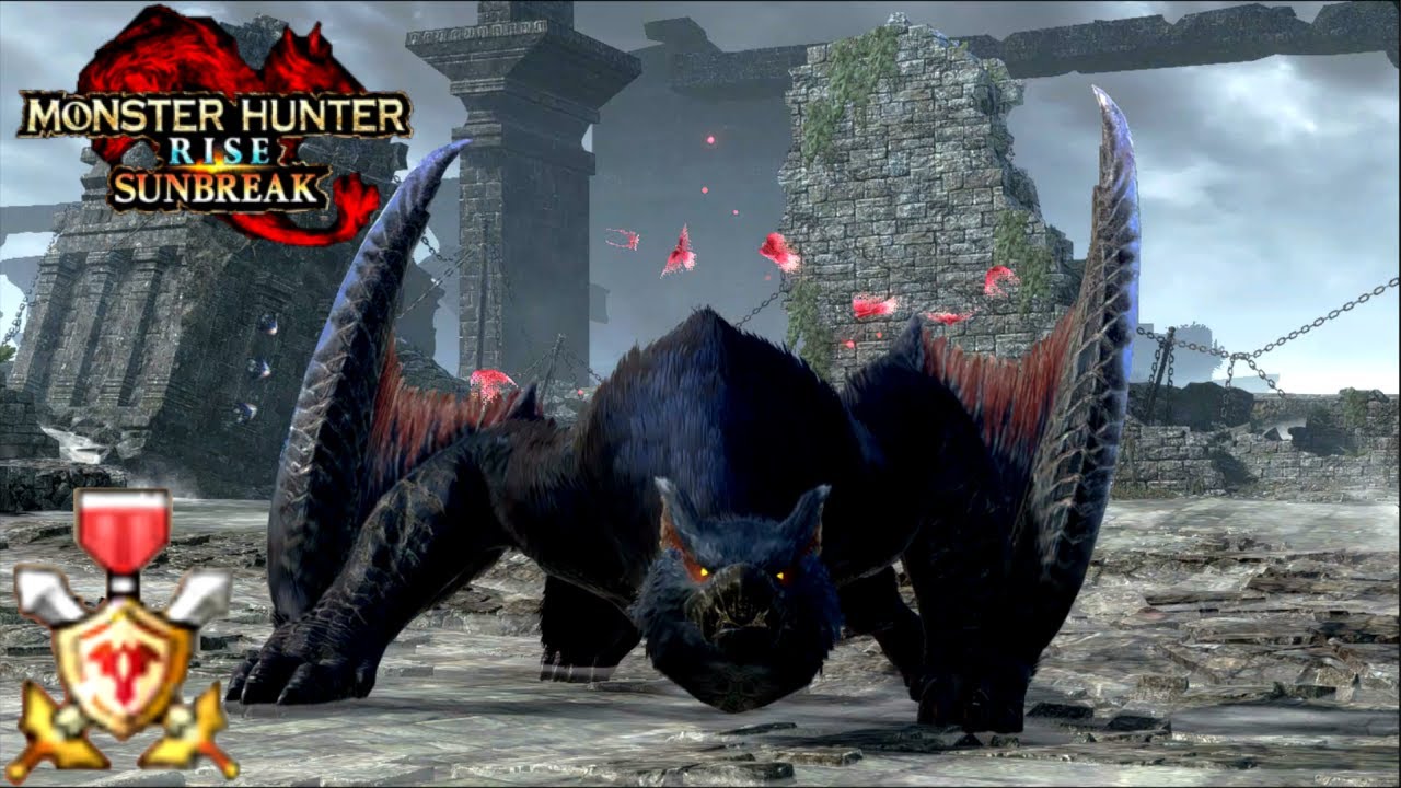 MH Rise Sunbreak Special Investigation Nargacuga - YouTube