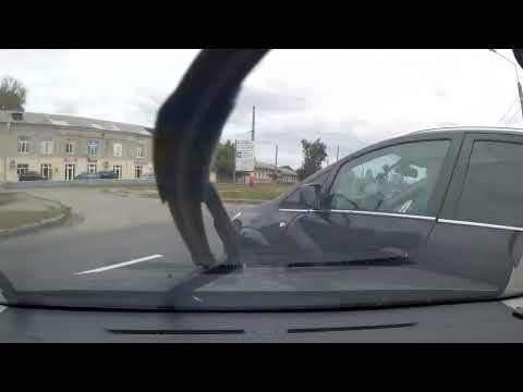 Minivan Cuts Into Oncoming Traffic And Collides