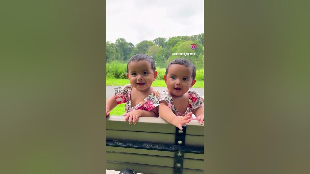 How much cute is too much cute? - YouTube