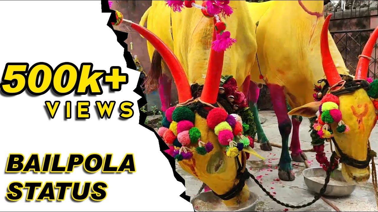 Bail pola status | बैलपोळा | 2021 | B ROLL - YouTube