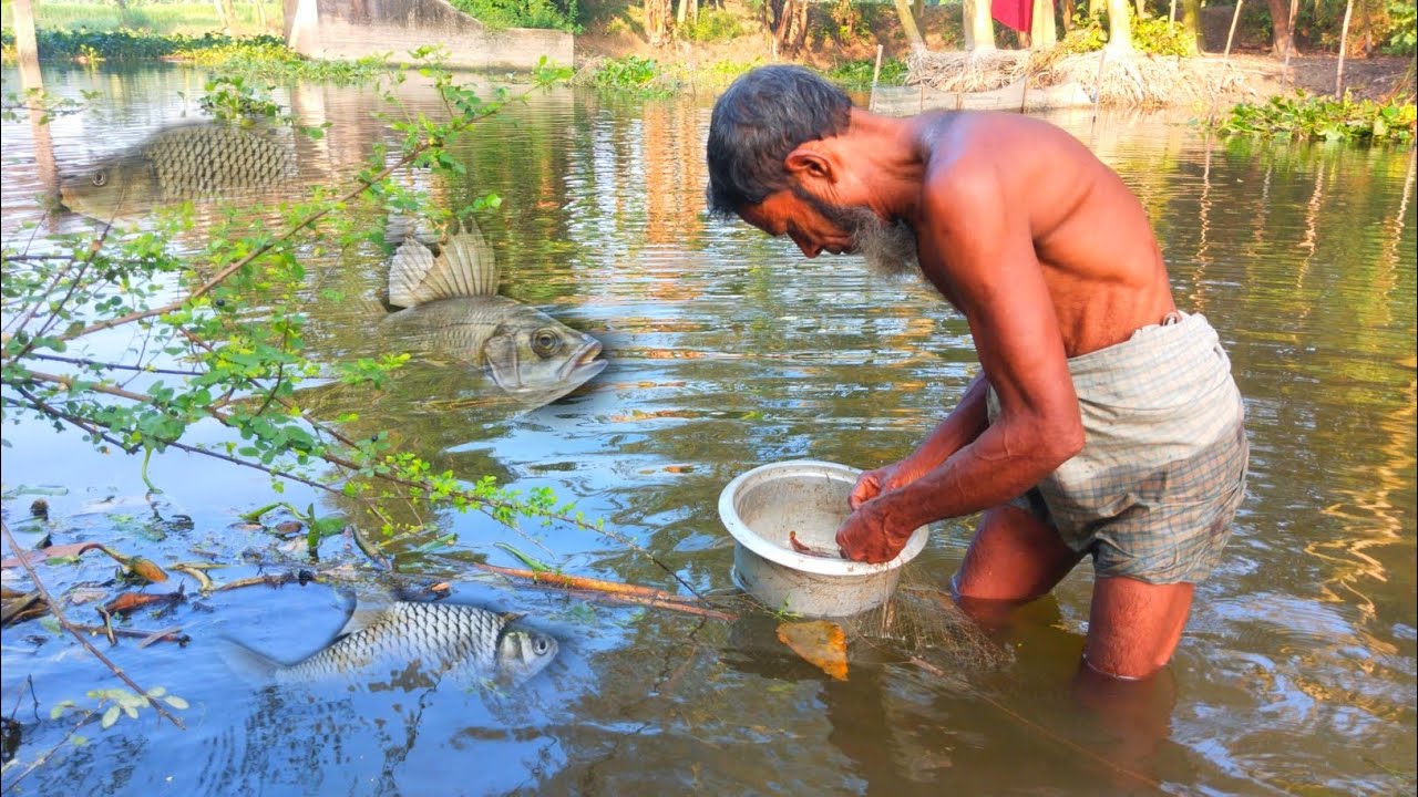 River Net Fishing for Small Fish | Traditional Village Life" - YouTube