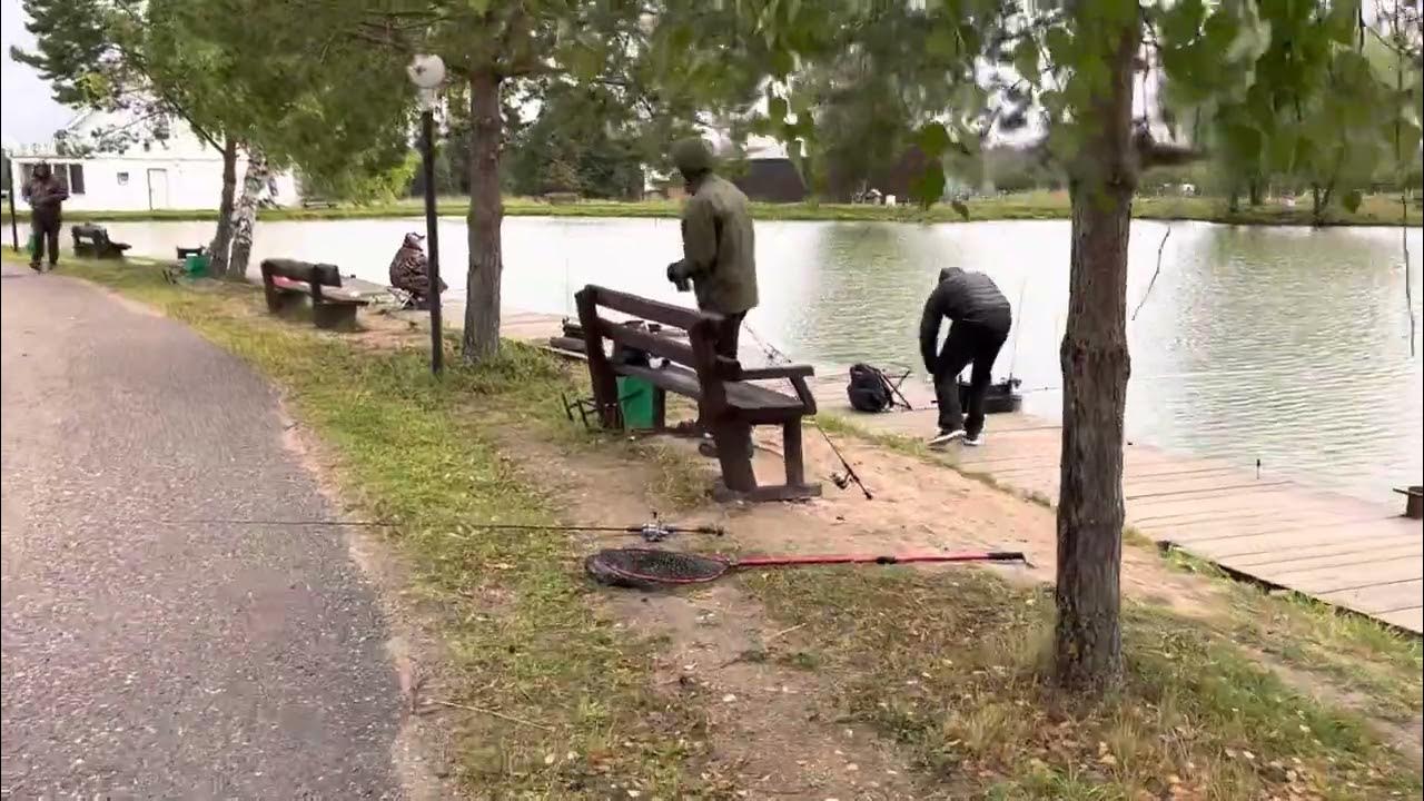 Форель на пасту - YouTube