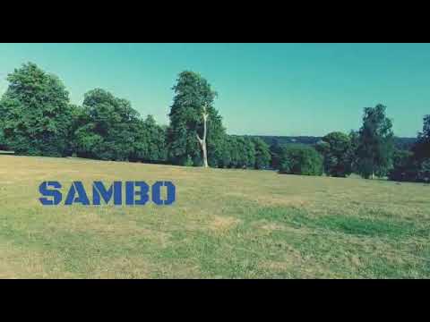 Sambist Fighting Academy