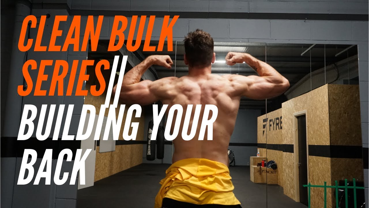 CLEAN BULK|| BACK WORKOUT - YouTube