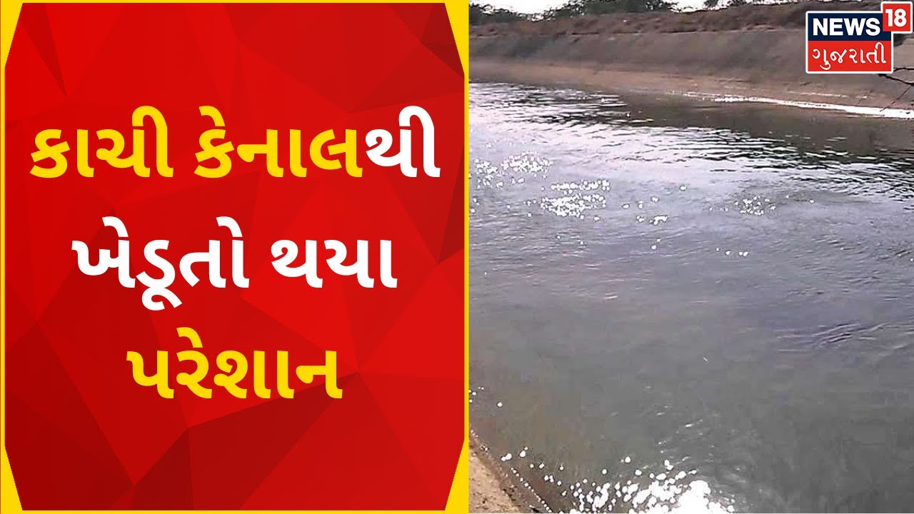 Navsari News | માયનોર નહેરનો 200 મીટરનો ભાગ કાચો રહેતાં પરેશાની | Canal ...