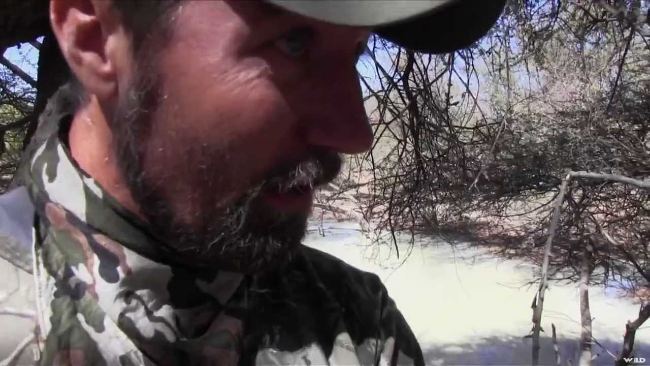 Warthog Spear Hunting with The World Hunting Group - YouTube