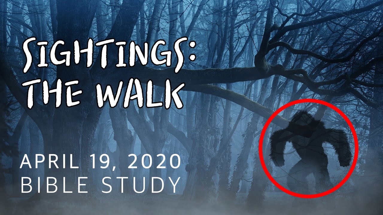 SIGHTINGS THE WALK Luke 24 30 32 Bible Study YouTube