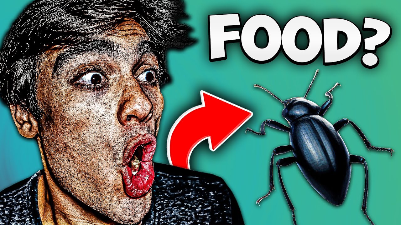 Should You Eat Ze Bugs? - YouTube