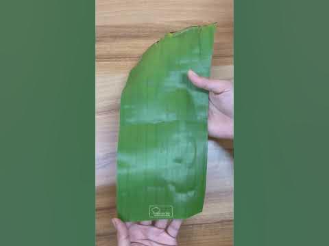 Aneka Cara Melipat Daun Pisang, Ternyata Begini Caranya! #shorts - YouTube