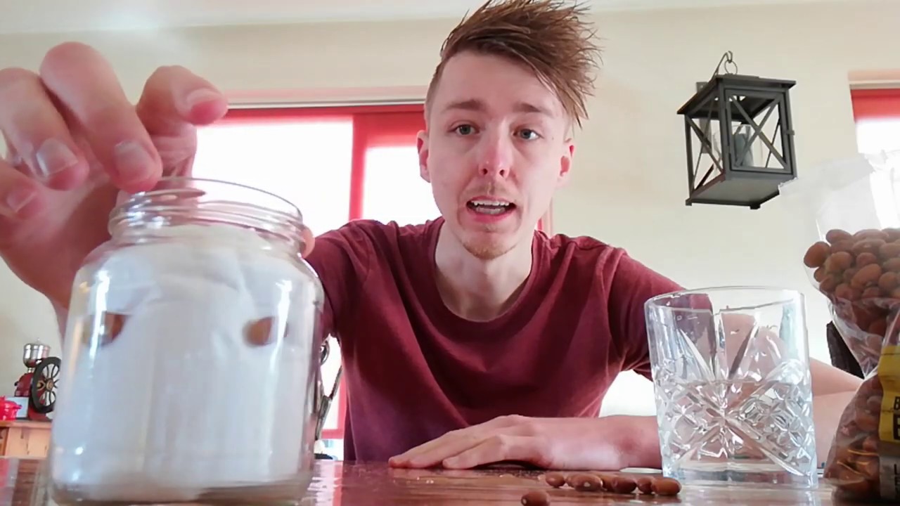 #2 boon ontkiemen - YouTube