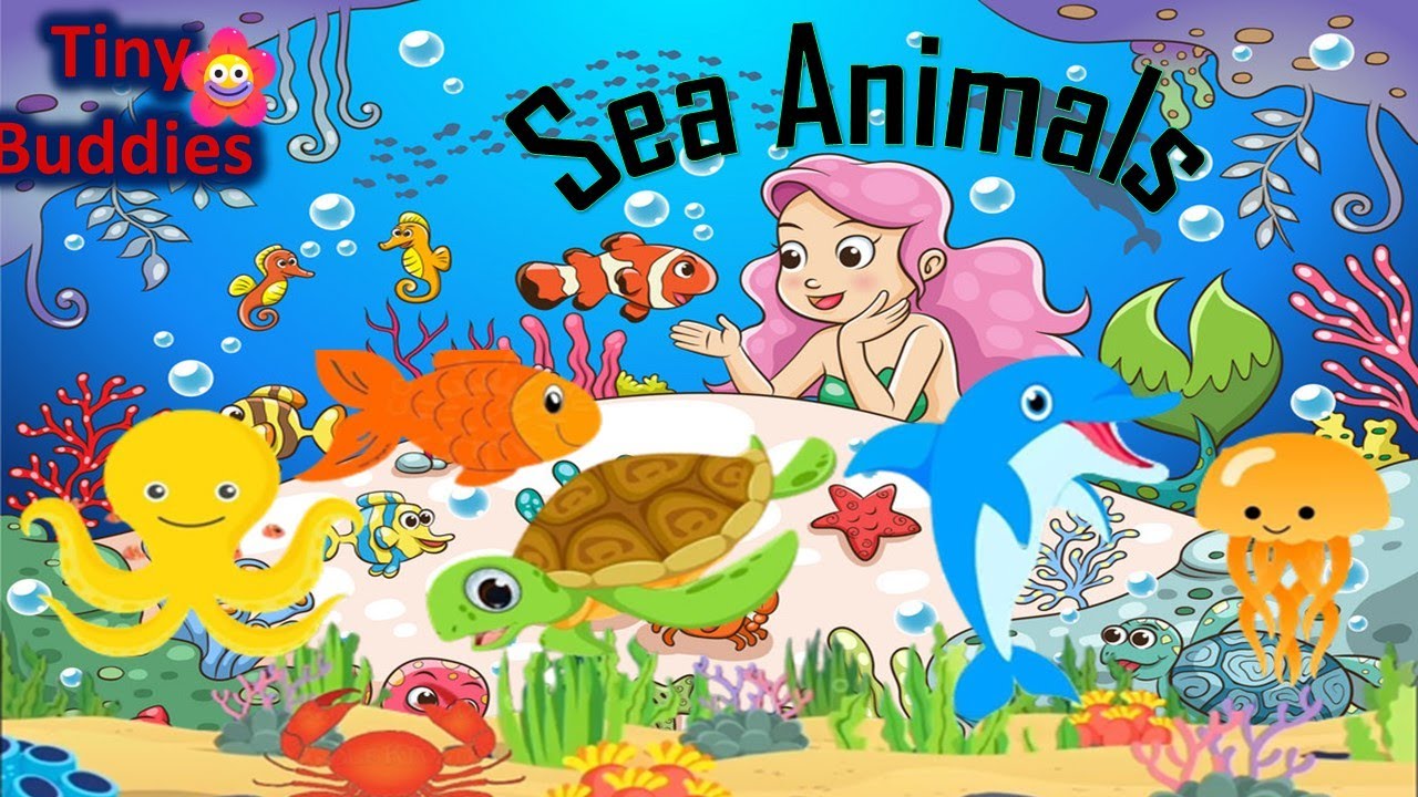 Learn Sea Animals - Learn English for kids - English educational videos ...