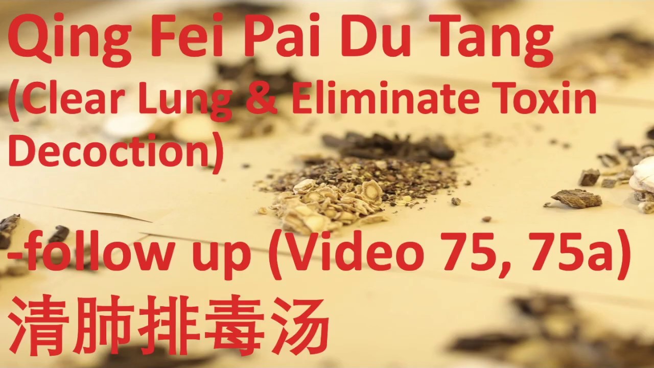75b Qing Fei Pai Du Tang (Clear Lung & Eliminate Toxin Decoction ...