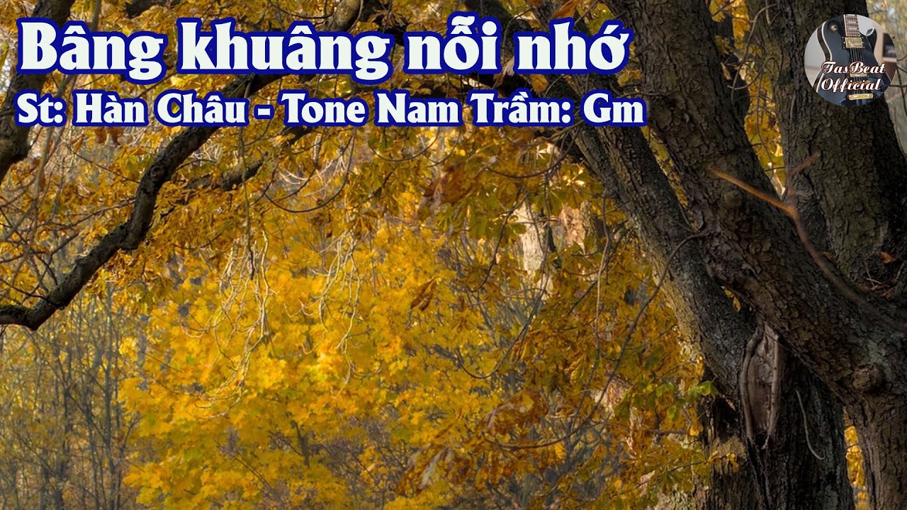 Karaoke Bâng Khuâng Nỗi Nhớ Tone Nam Trầm | TAS BEAT - YouTube