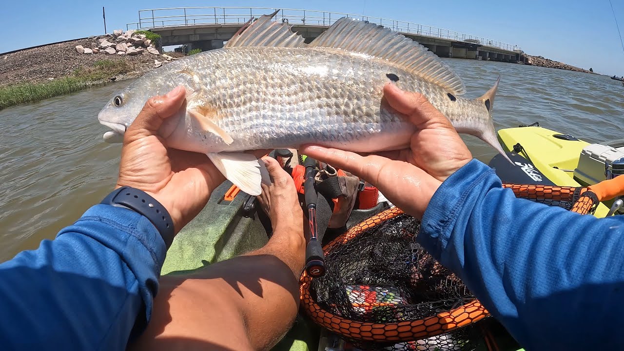 Bayou vista fishing!🎣 - YouTube