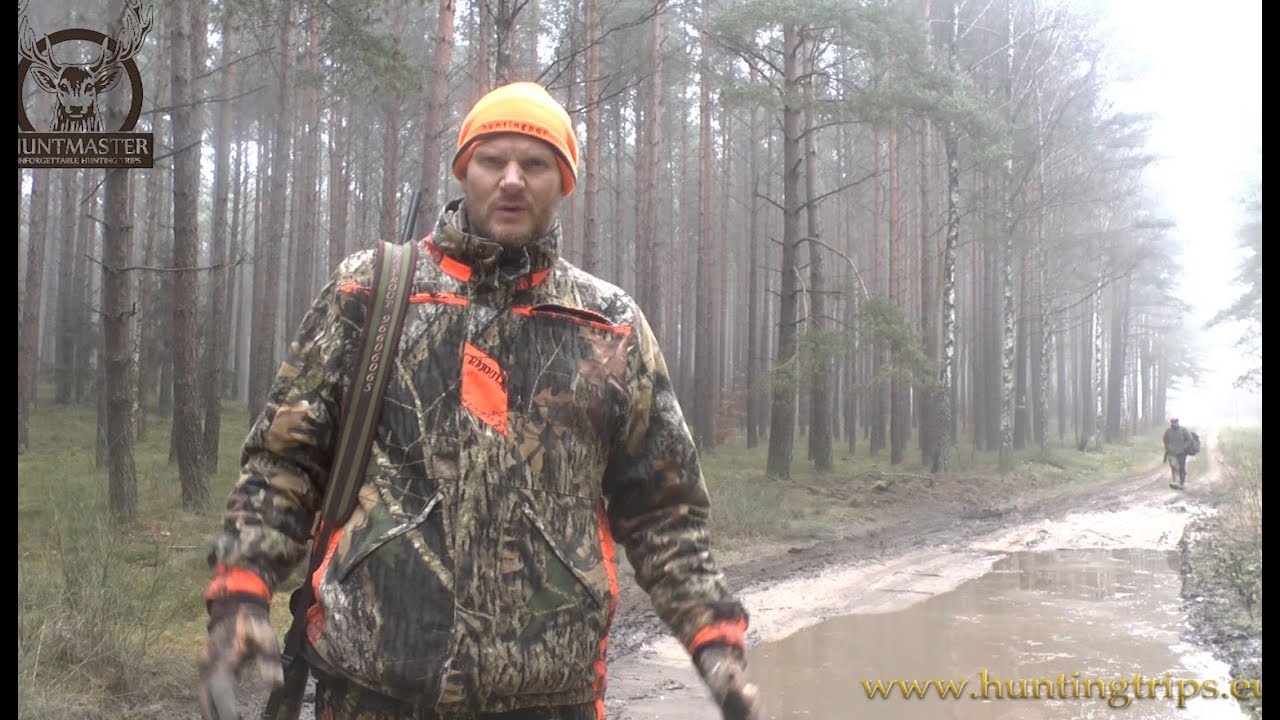 Driven Hunt in poland; hunting in poland; jagt i polen; - YouTube