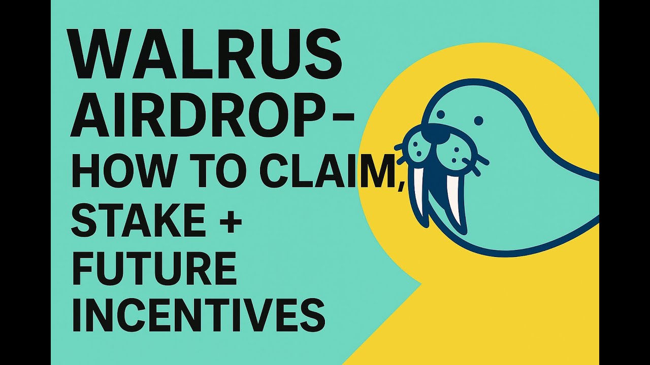 WALRUS AIRDROP - CLAIMING GUIDE , STAKING + FUTURE INCENTIVES 🚀 - YouTube