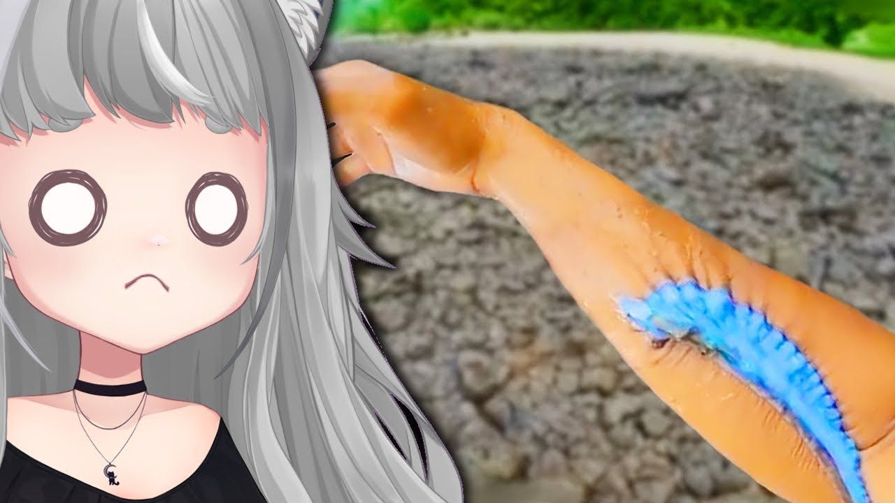 I'm terrified.. | VTuber Fuwa Reacts to Daily Dose of Internet, MEMES ...