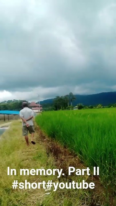 in memory. part II - YouTube