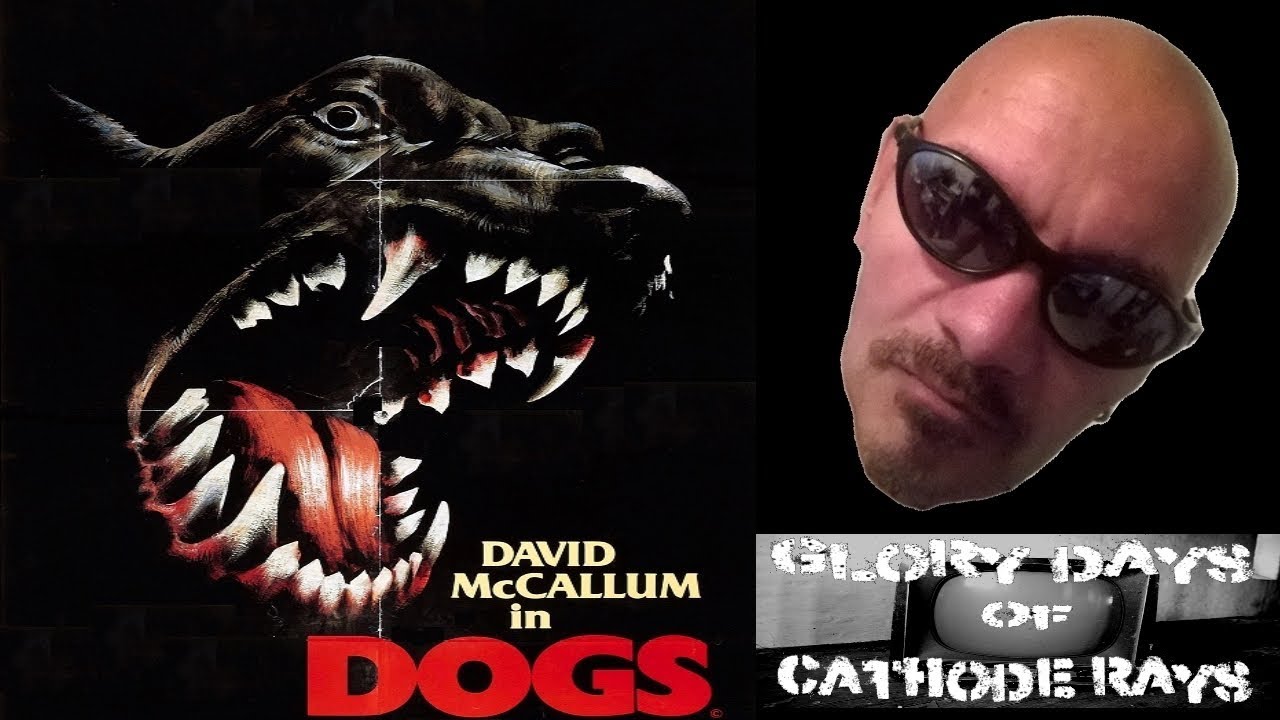 EPISODE 27: "DOGS" (1976) REVIEW!!! - YouTube