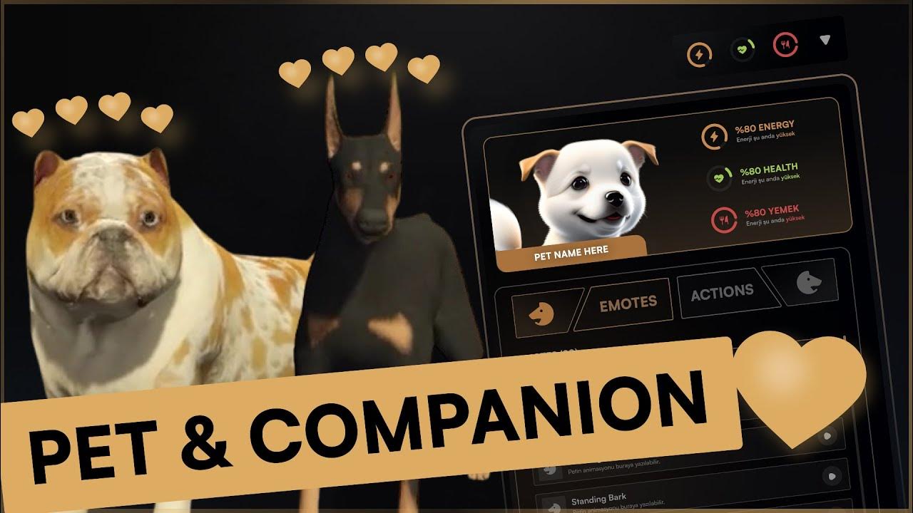 Fivem Script | Pet Update [ADDON PETS + CLOTHES] (Dusa) - YouTube