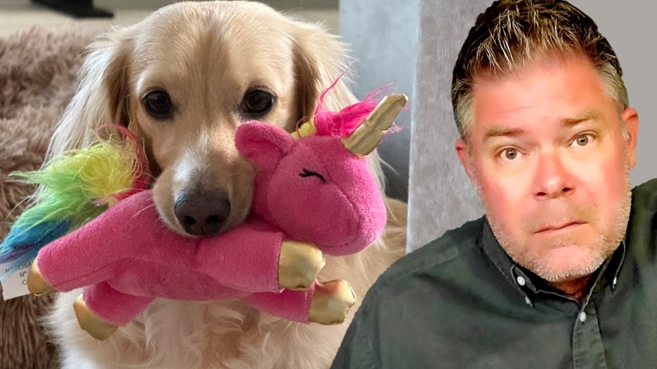 International NEWS - $UFD - UNICORN FART DUST meme coin - YouTube