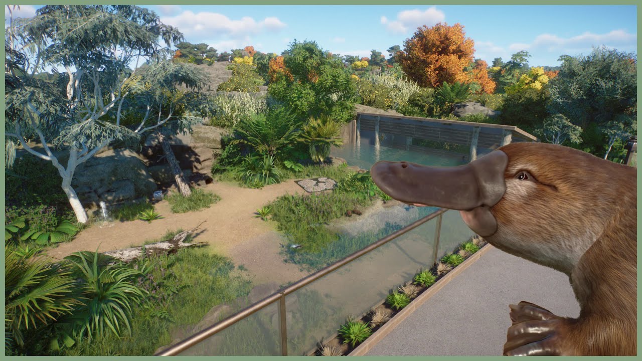🦫Cute little platypus habitat | Soliuko Zoo | Planet Zoo | speedbuild🍁 - YouTube