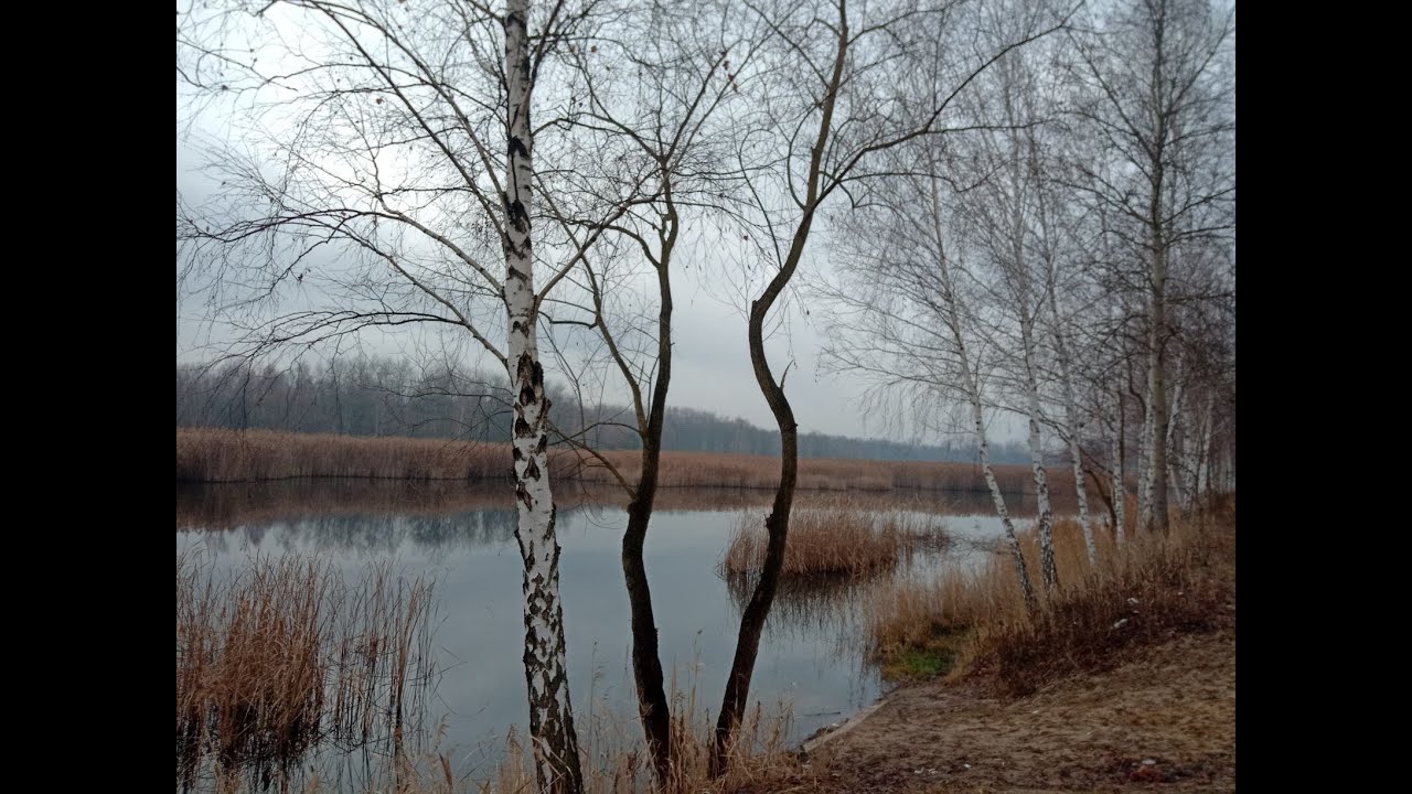 Gru-Fish Borki Stawiki Hubertus Gliniok - YouTube